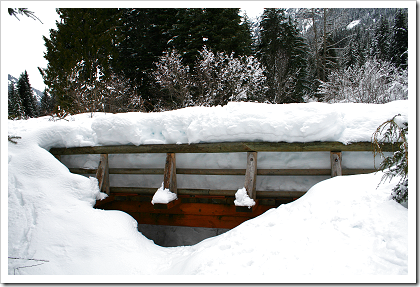Redmond Library: Gold Creek Pond: An Easy Snowshoe Hike